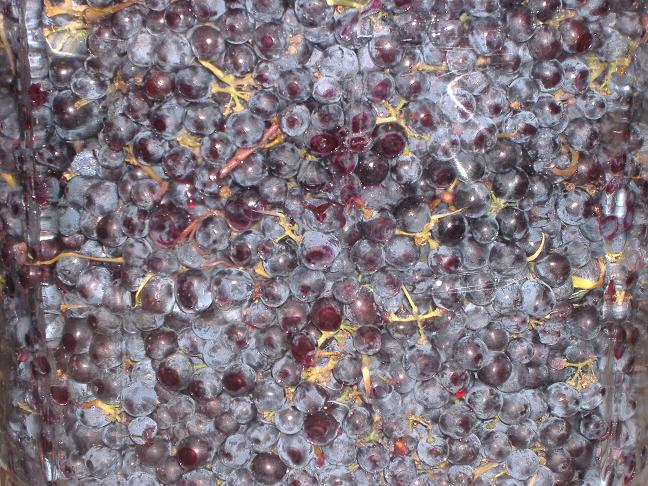 Carbonic Maceration: Art of Nouveau