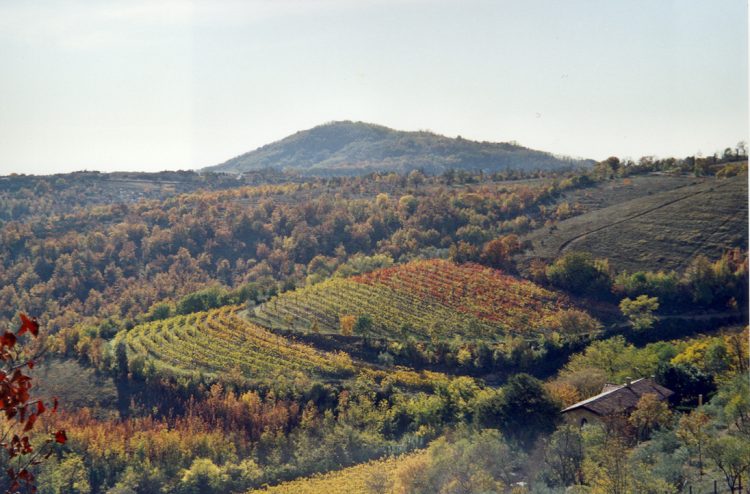 Merlot and Cabernet of Italy – Palate Press