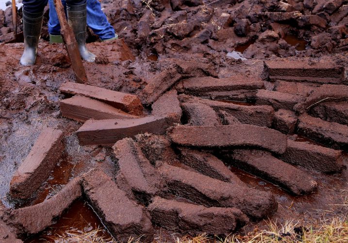 To peat or not to peat? – Palate Press