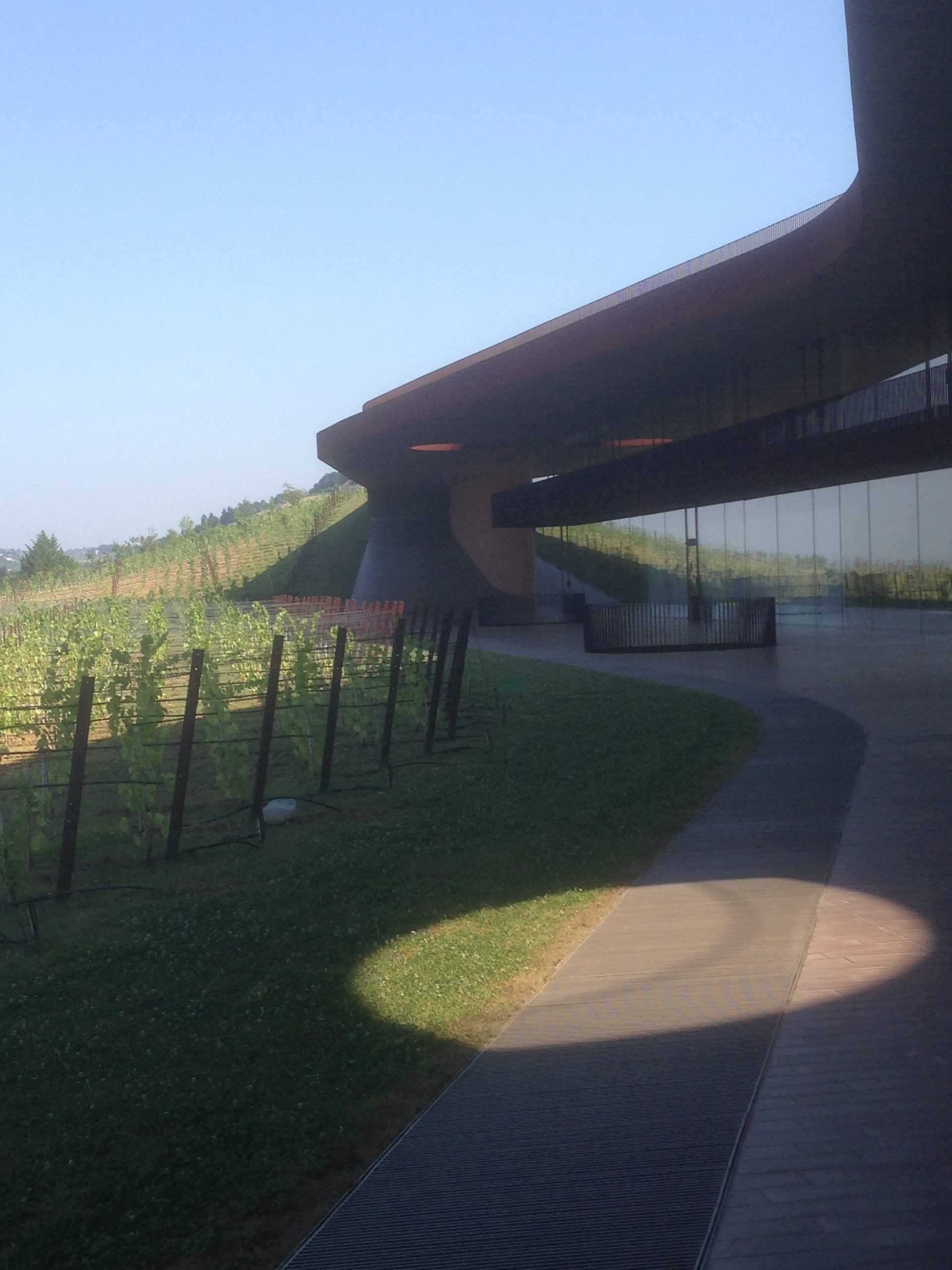 Three stunning structures: Italian wineries to visit