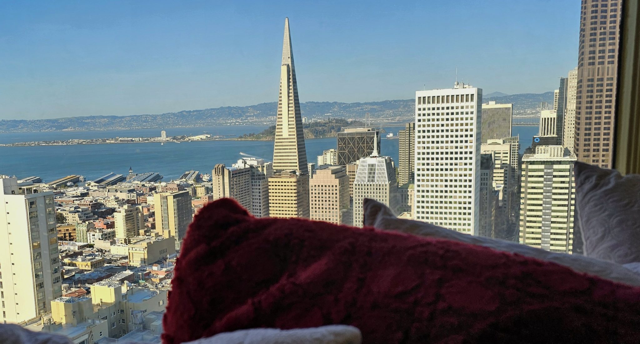Top of the Mark Lounge in San Francisco Celebrates 85 years - Palate Press