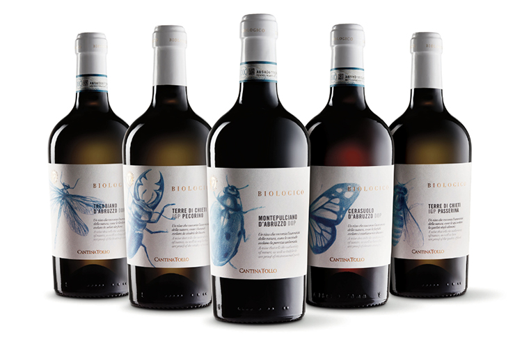 Cantina Tollo: Organic, Inexpensive & Delicious - Palate Press