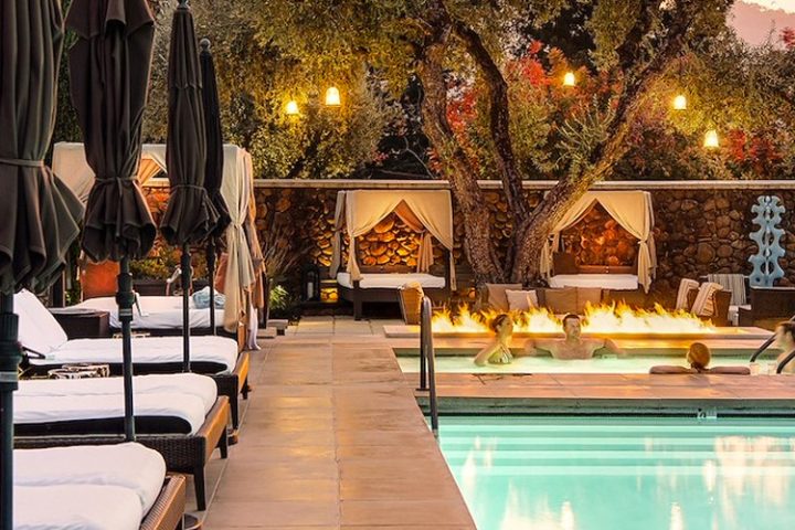 Palate Press - Fine Wine & Noble Spirits - Palate Press