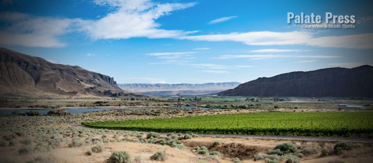 Palate Press – Fine Wine & Noble Spirits