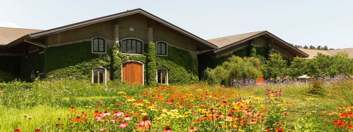 Clos du Val: Updating a Classic Napa Winery – in Massachusetts - Palate ...