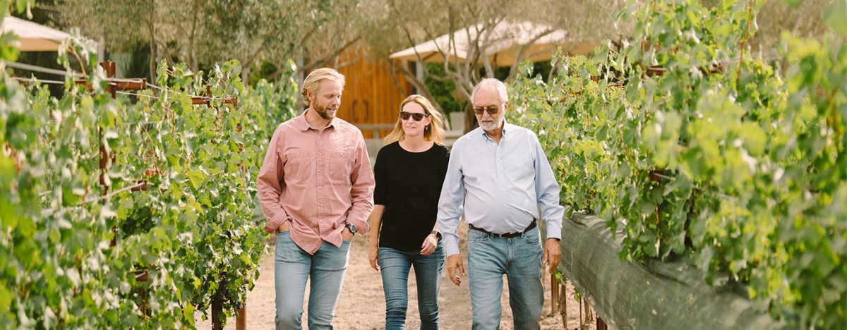 Clos du Val: Updating a Classic Napa Winery – in Massachusetts - Palate ...