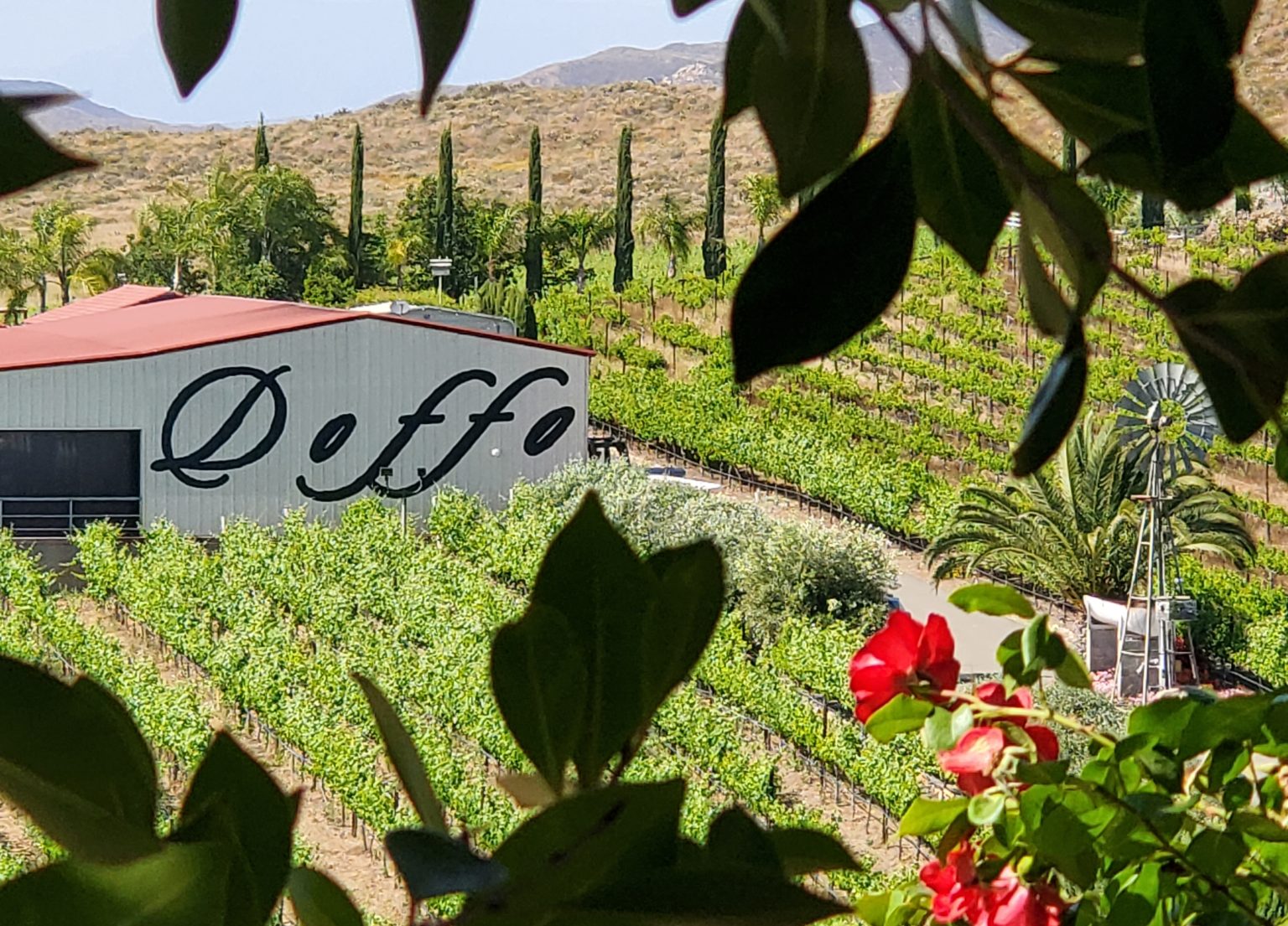 Meet Temecula Valley—a rising wine destination - Palate Press