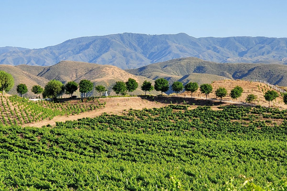 Features - Palate Press