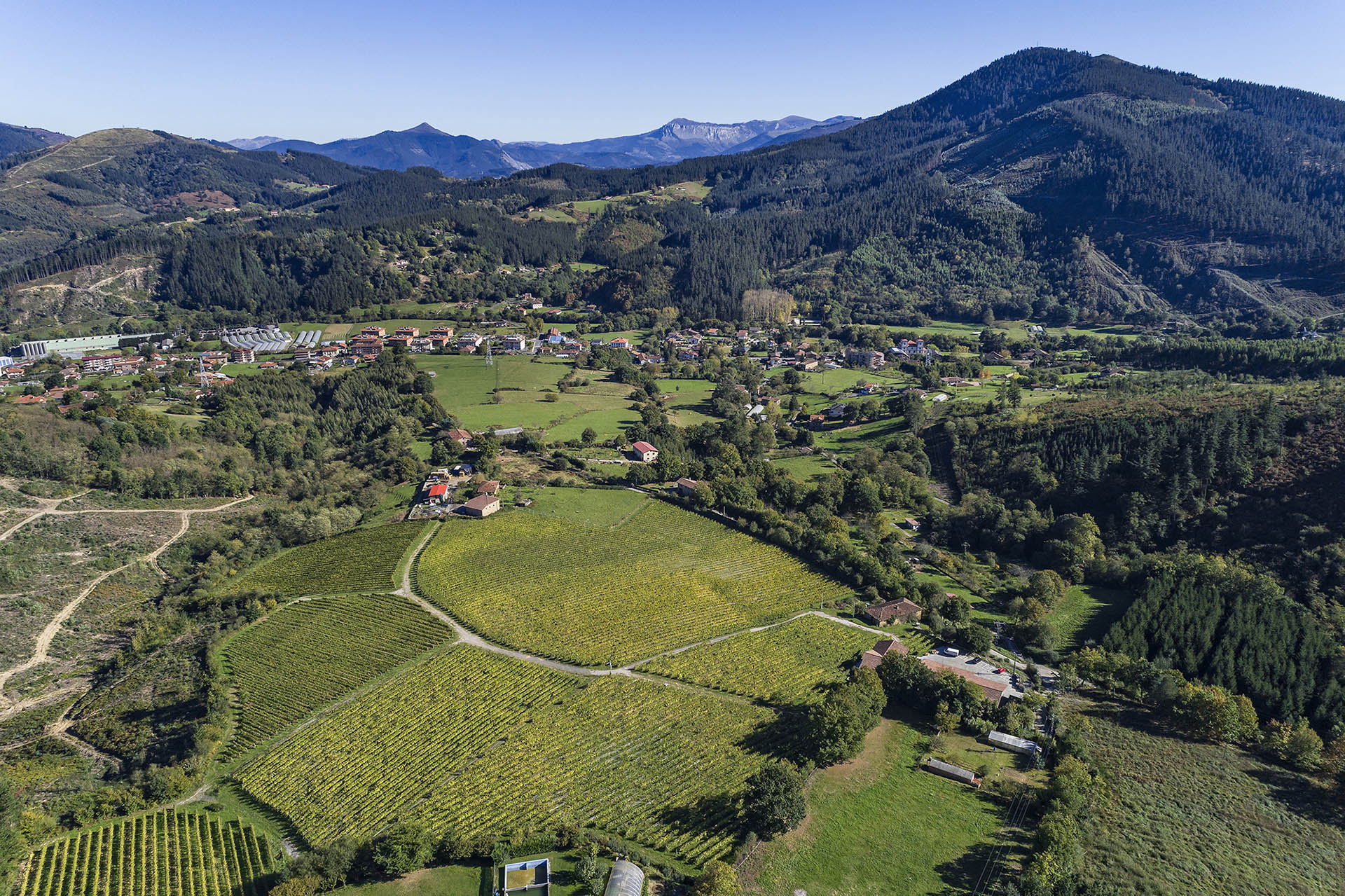 The Story of Spain’s Top Wine Estates - Palate Press