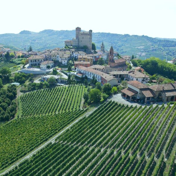 Features - Palate Press